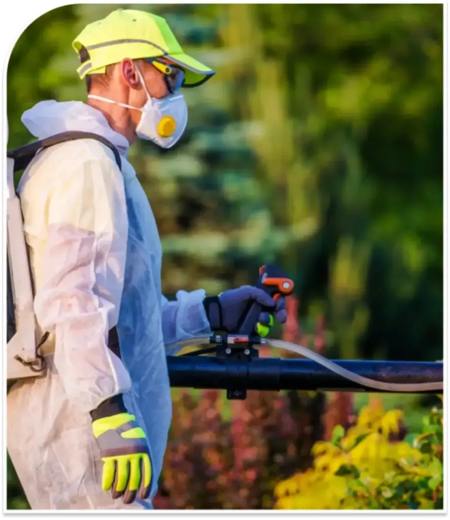 Pinellas Park Pest Control | Local Experts Since 1987 | Forever Green